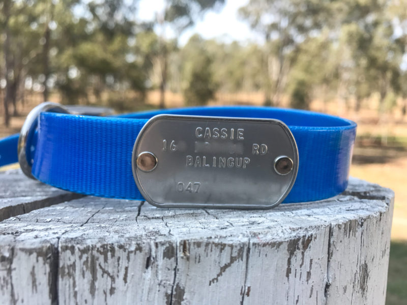 Custom Made Metal Dog Tag by itself (Attach to your own collar ...