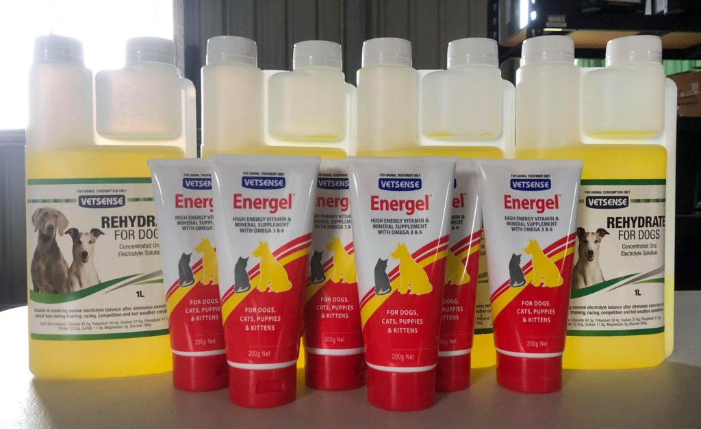 VETSENSE ENERGEL – Crackin Country Outback Dog Tags